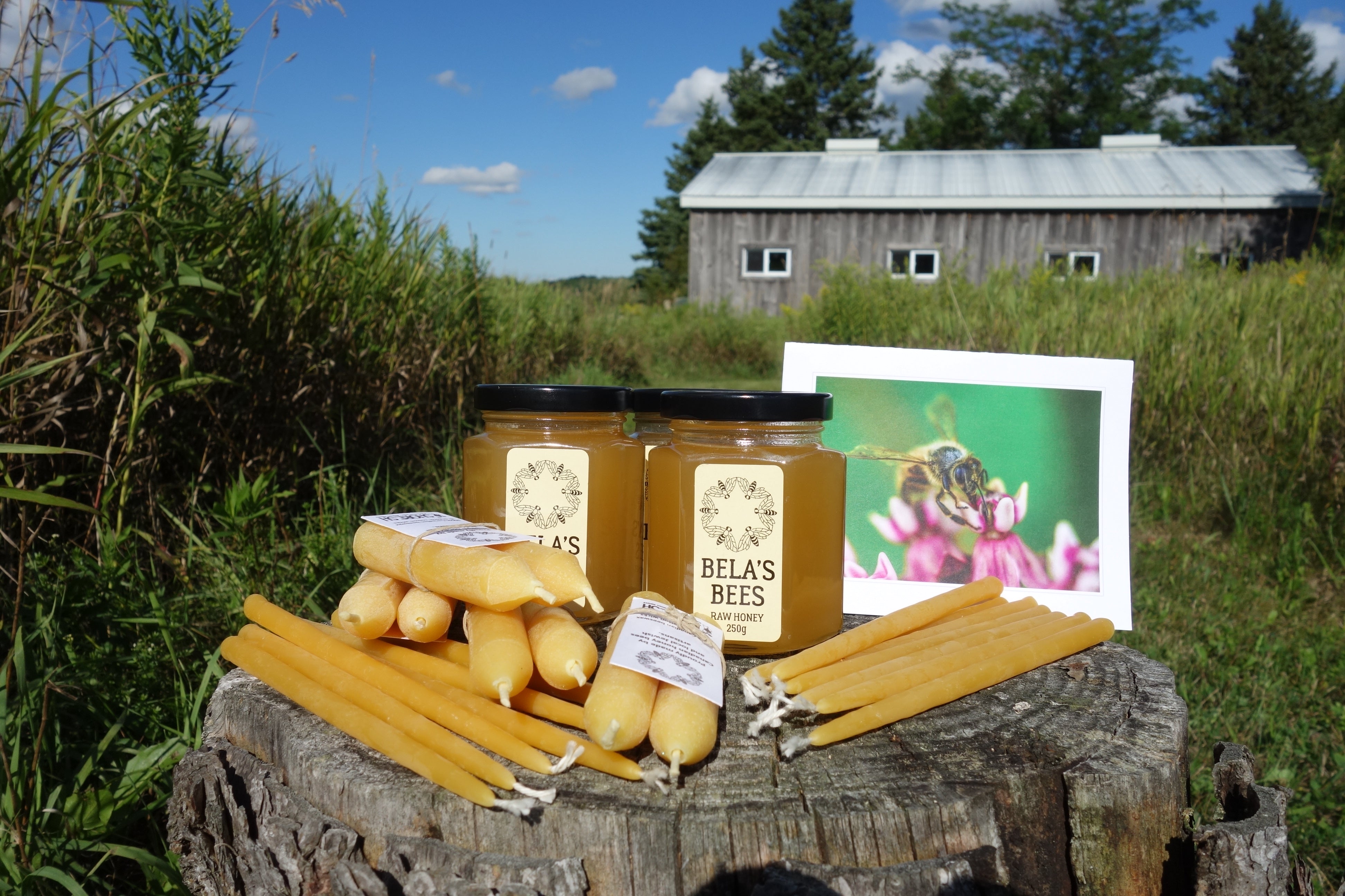 Gift Bundles – Shoresh Shuk