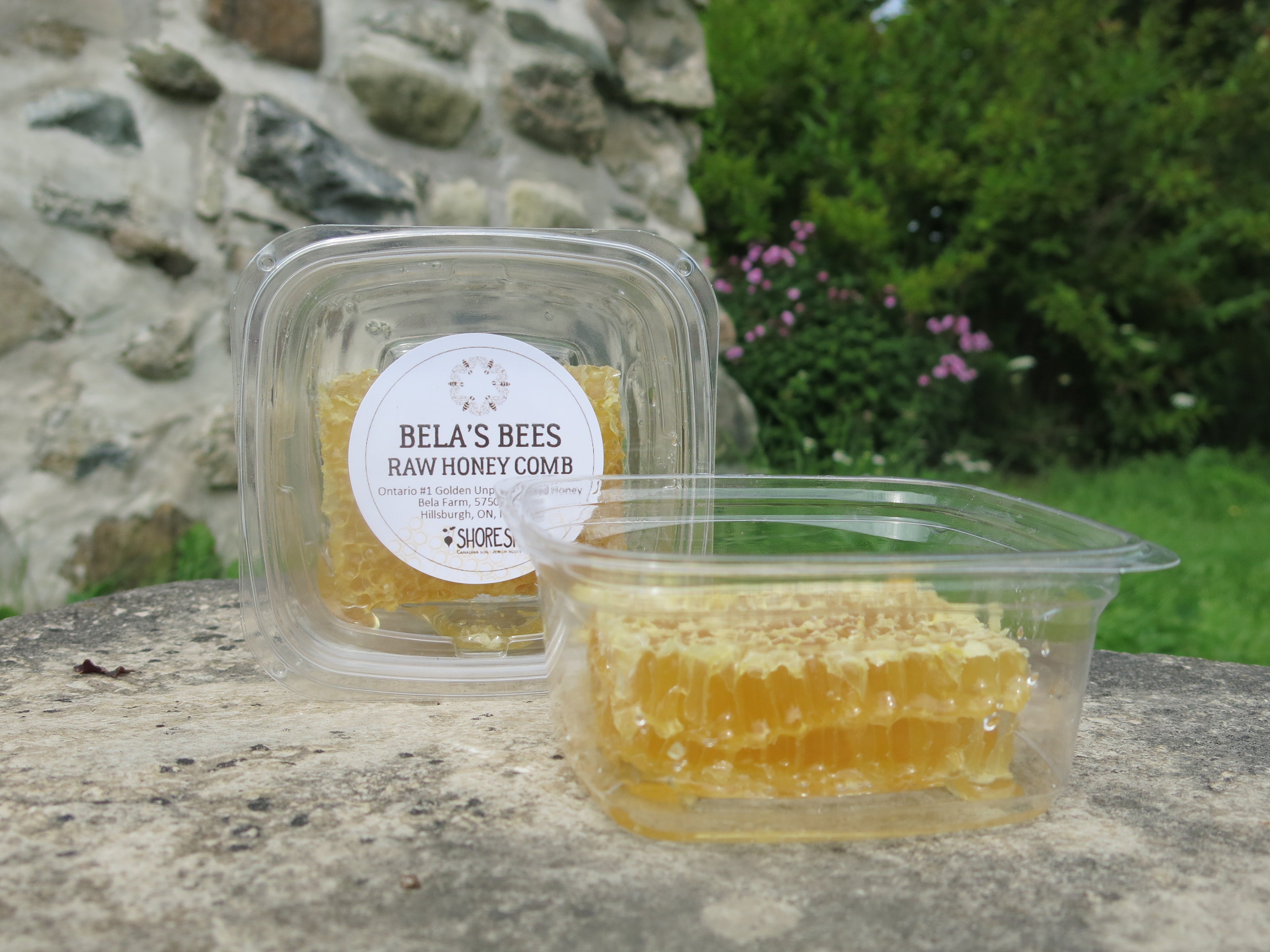 Bela's Bees Raw Honey-in-the-Comb – Shoresh Shuk
